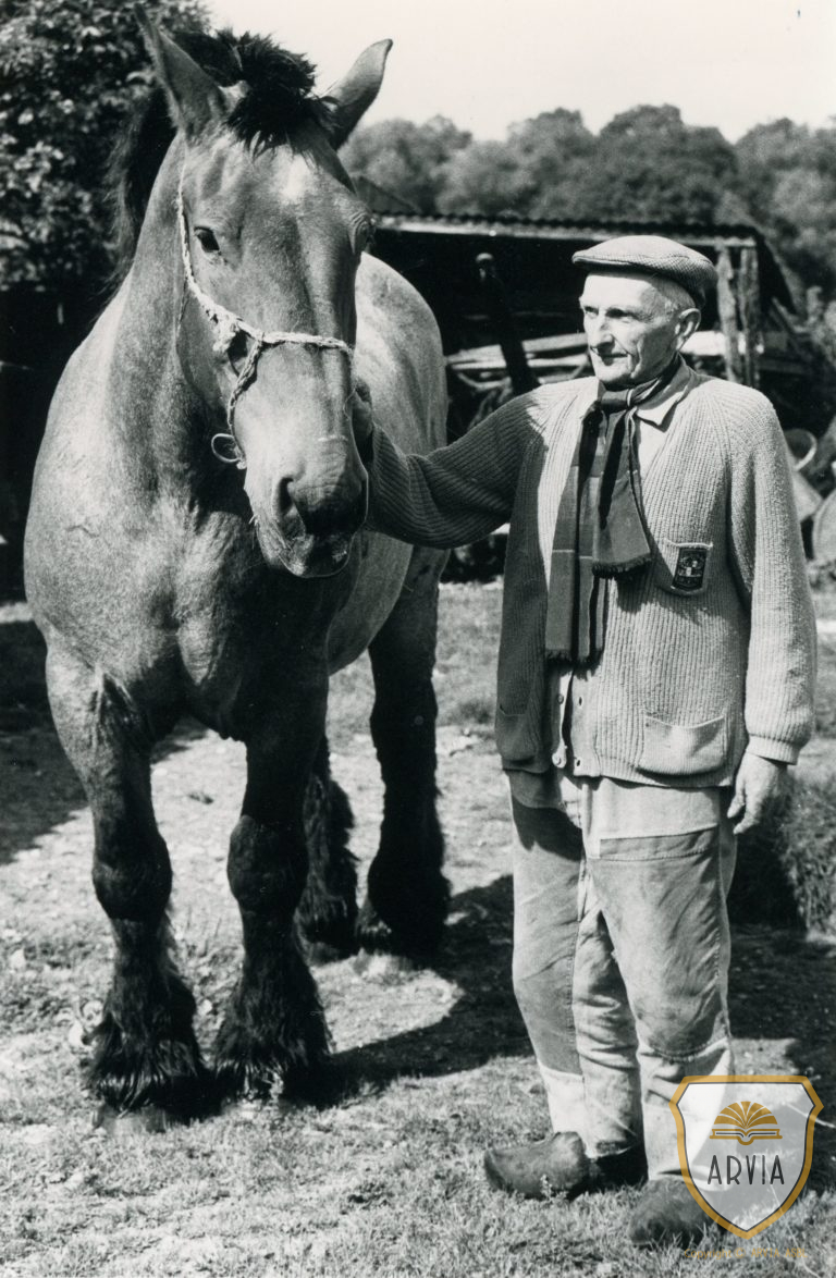 Archives Archive - ARVIA Archives Herve